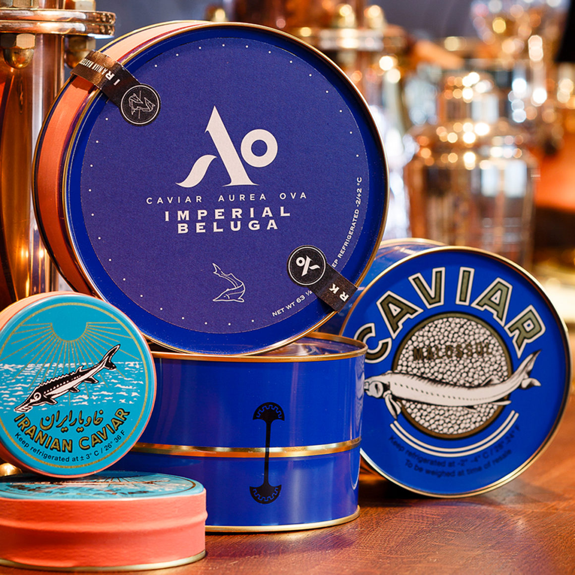 NILS UDO | DEDICATE DIGITAL